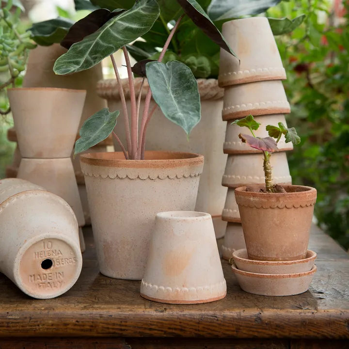 Helena flower pot 10 cm from Bergs Potter - NordicNest.com