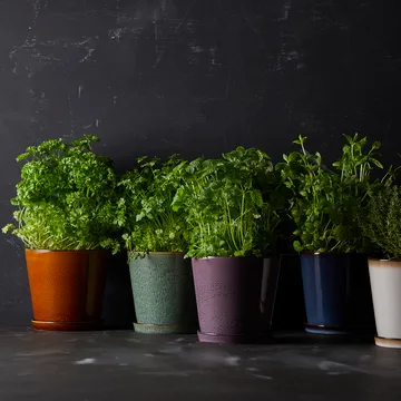 Bitz flower pot with saucer Ø14 cm from Bitz - NordicNest.com