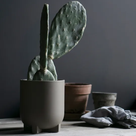 Plus flower pot Ø16 cm from DBKD - NordicNest.com