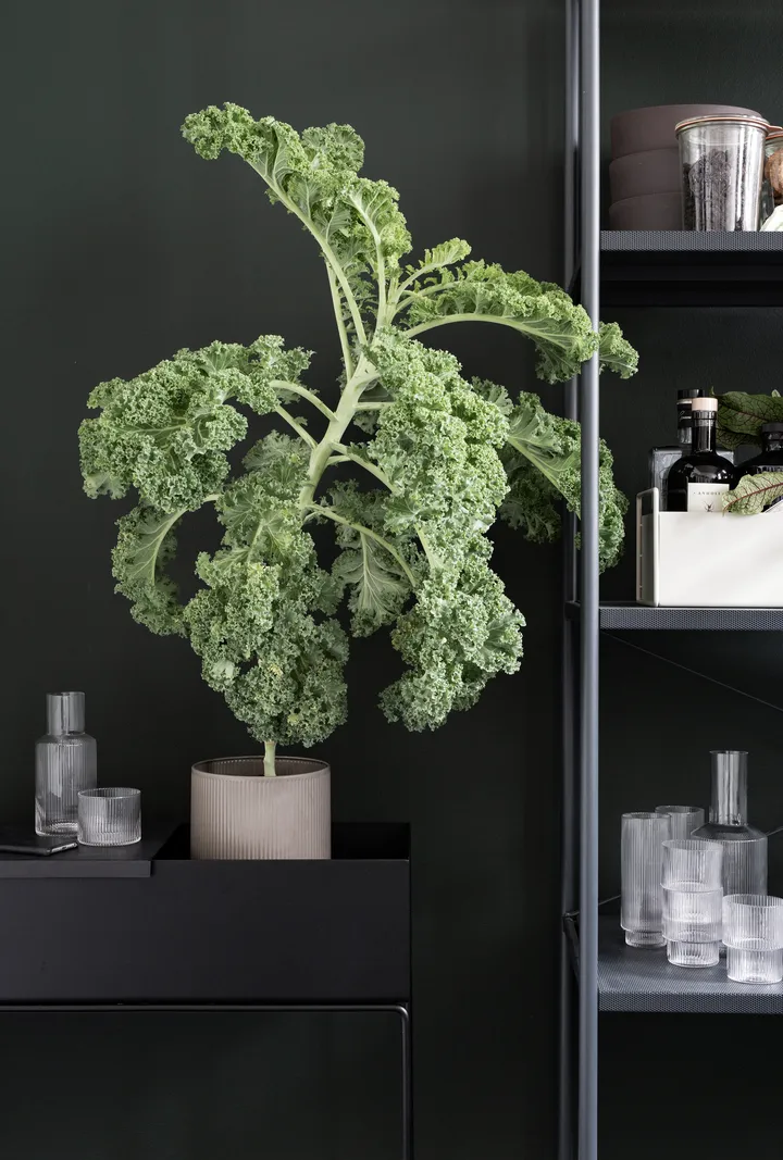 Ferm Living plant box from Ferm Living - NordicNest.com