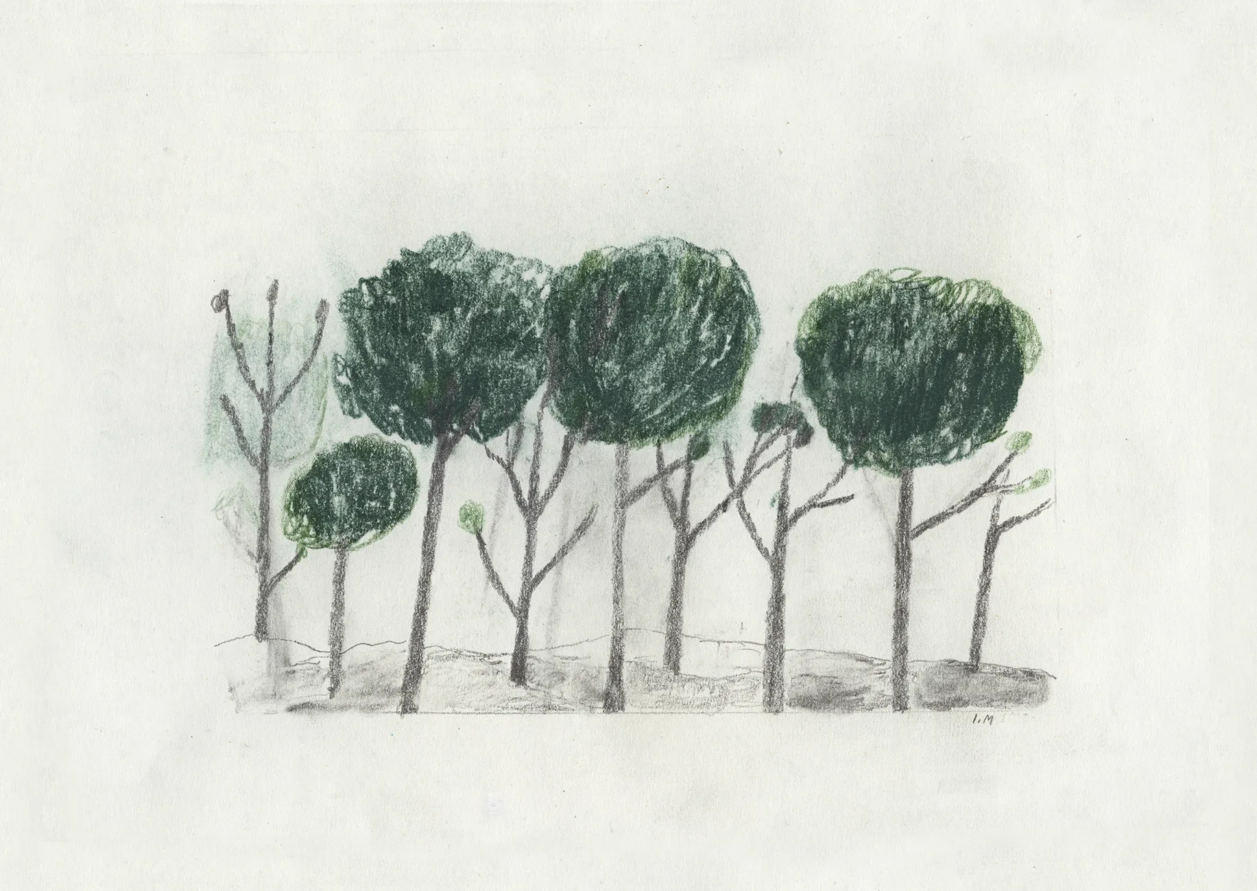 Trees poster 50x70 cm from Fine Little Day - NordicNest.com