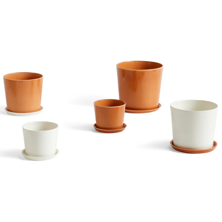Botanical Family saucer to flower pot L from HAY - NordicNest.com