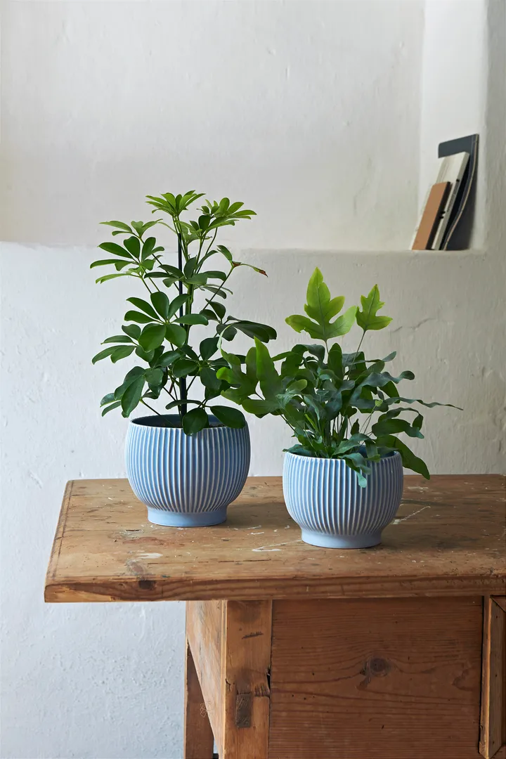 Knabstrup flower pot fluted Ø16.5 cm from Knabstrup Keramik ...