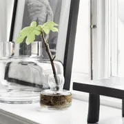 Urna vase from Marimekko - NordicNest.com