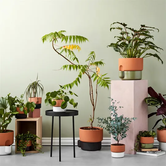 Oasis self-watering flower pot large Ø27.5 cm from Northern ...