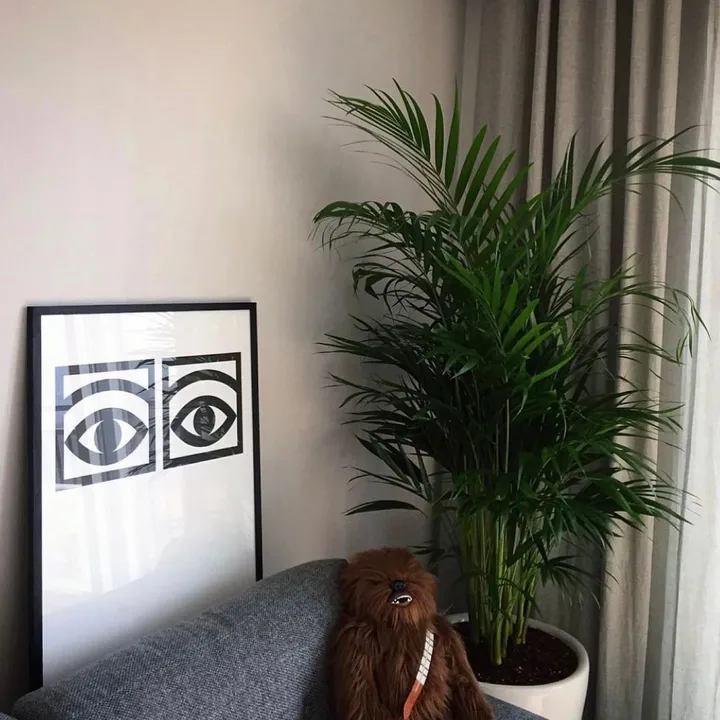 Ögon one-eye poster from Olle Eksell - NordicNest.com