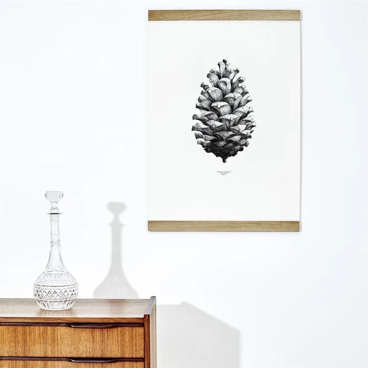 1:1 Pine cone poster from Paper Collective - NordicNest.com