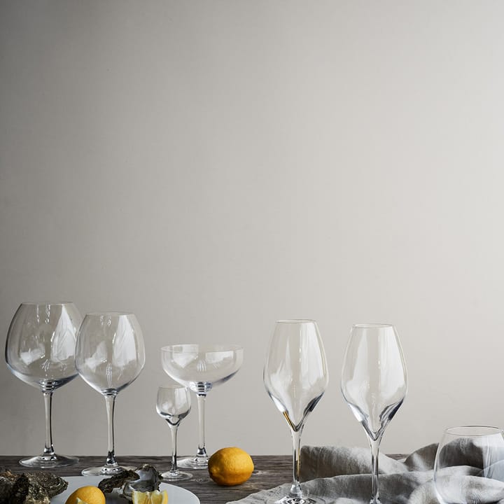 Premium Champagne Glass 37 Cl 2 Pack From Rosendahl