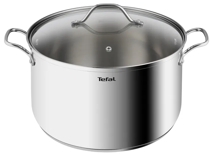 Intuition pot 30 cm 12 l from Tefal - NordicNest.com