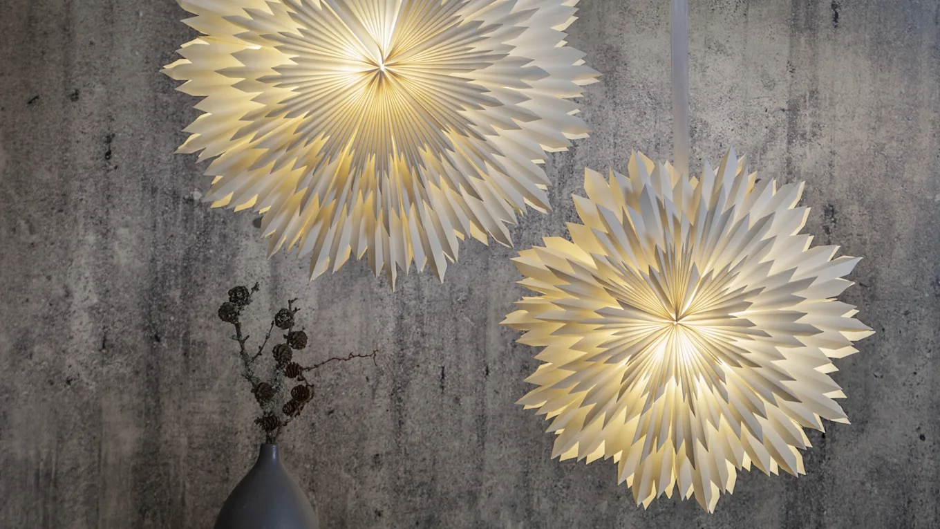 Scandinavian Christmas Star for 2024 – here are the new arrivals