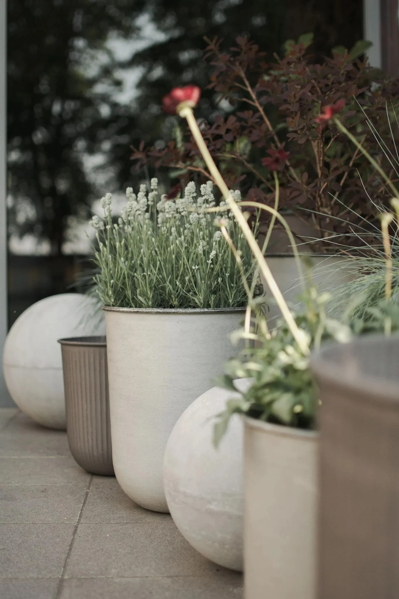 Outdoor Plant Pots