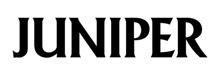 Juniper duvet cover 220x230 cm cm from Juniper - NordicNest.com