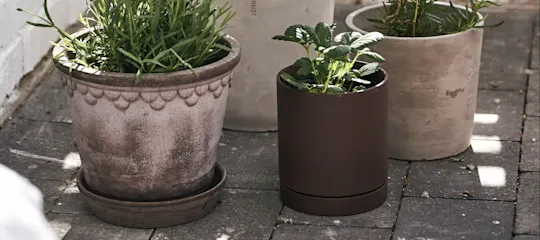 Outdoor Plant Pots